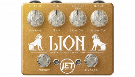 Lion Distortion | Documents